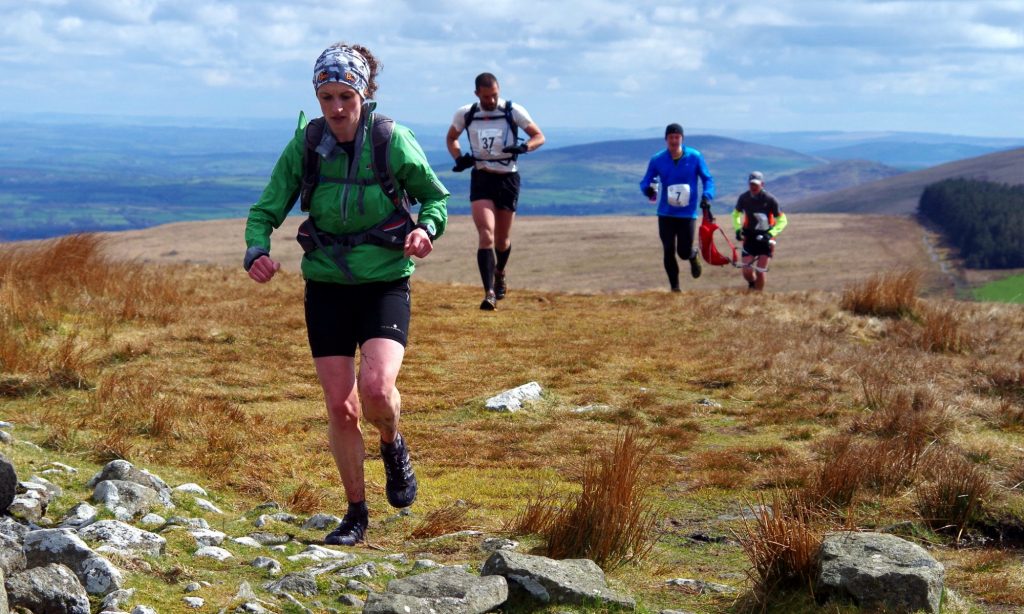 The Races – The Preseli Beast